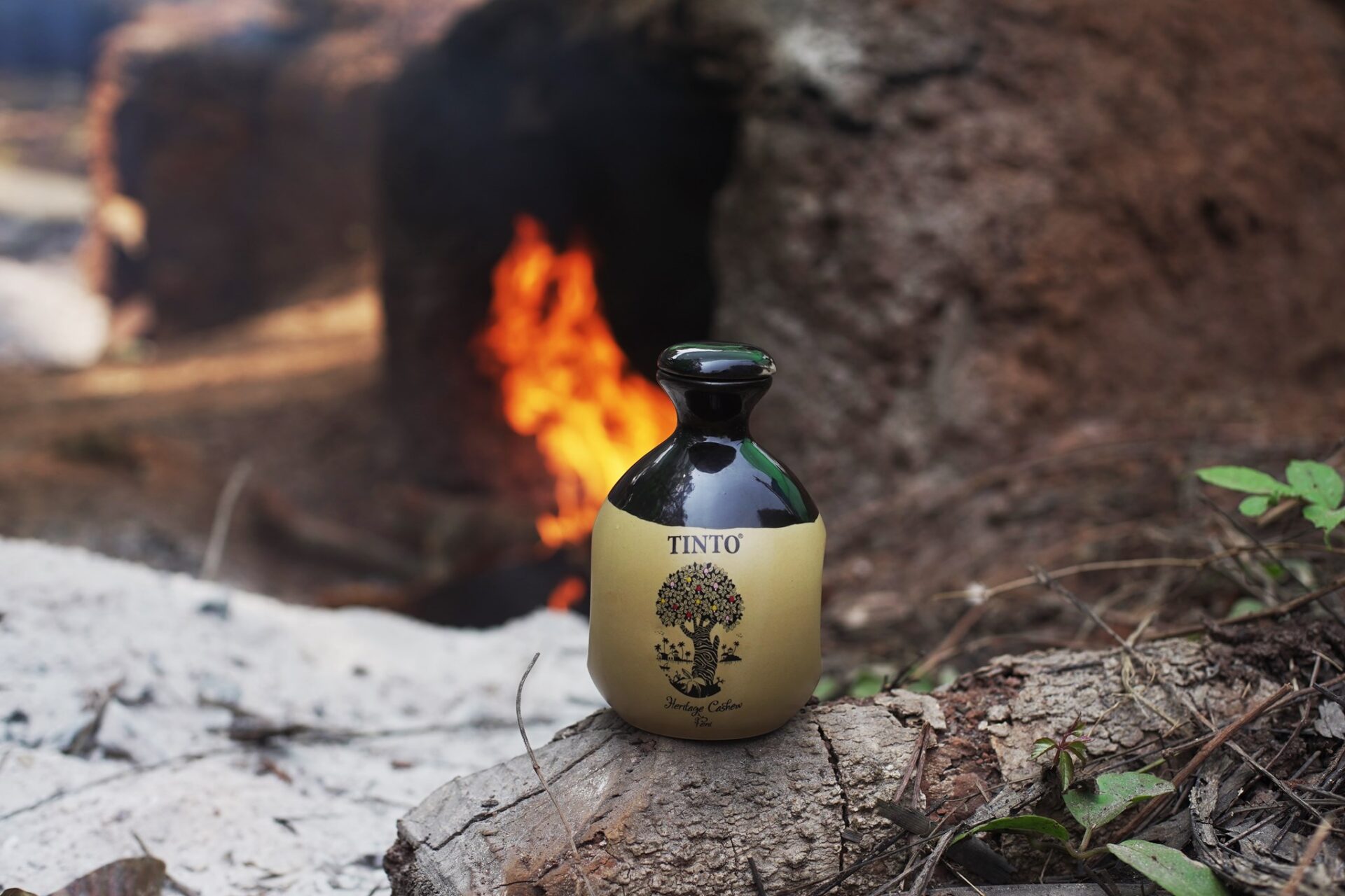 Best locally made alcohol to try in Goa – Best Goa drinks