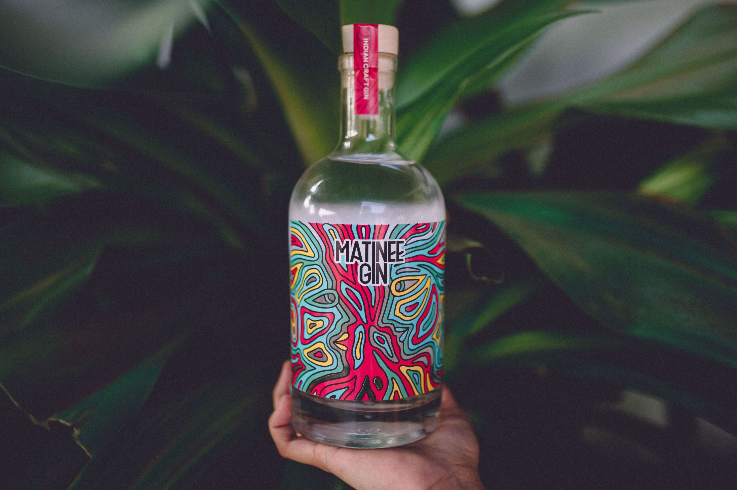 The top 5 alcohol to bring back from Goa trip 2022