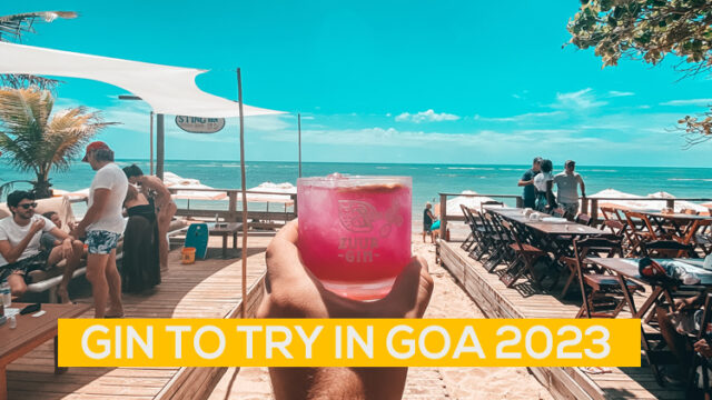 Best Gin Brands in Goa for 2023 – Spotlight Goa Goa Gin